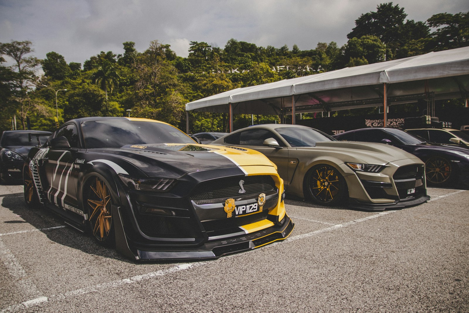 2026 Shelby Super Snake Beats Mustang GTD Power for Half the Price ...